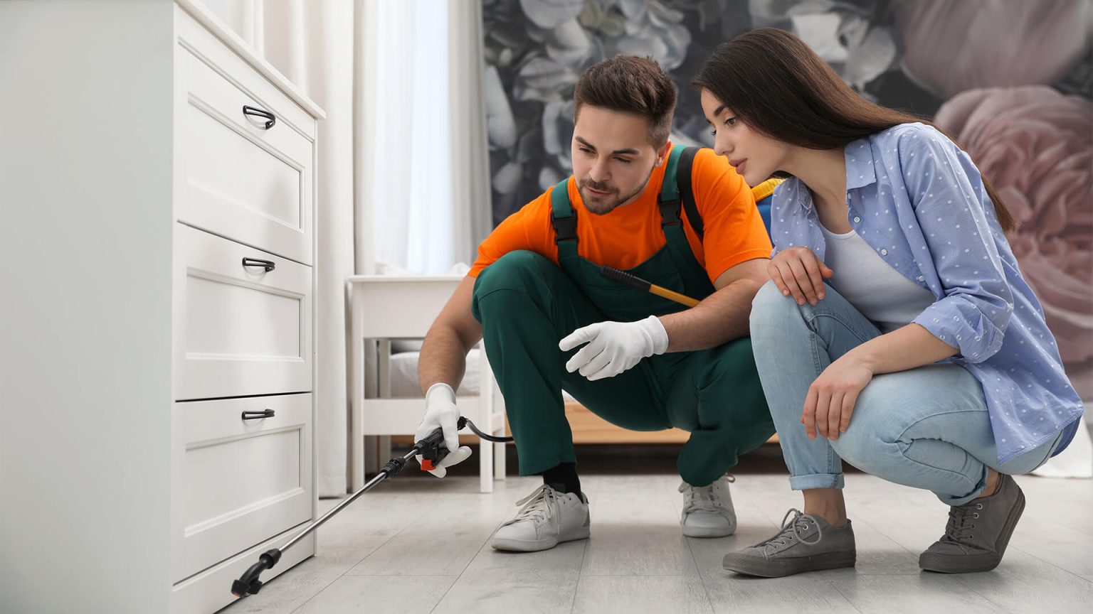 Hiring German Cockroach Exterminators? Here’s What You Need To Know!